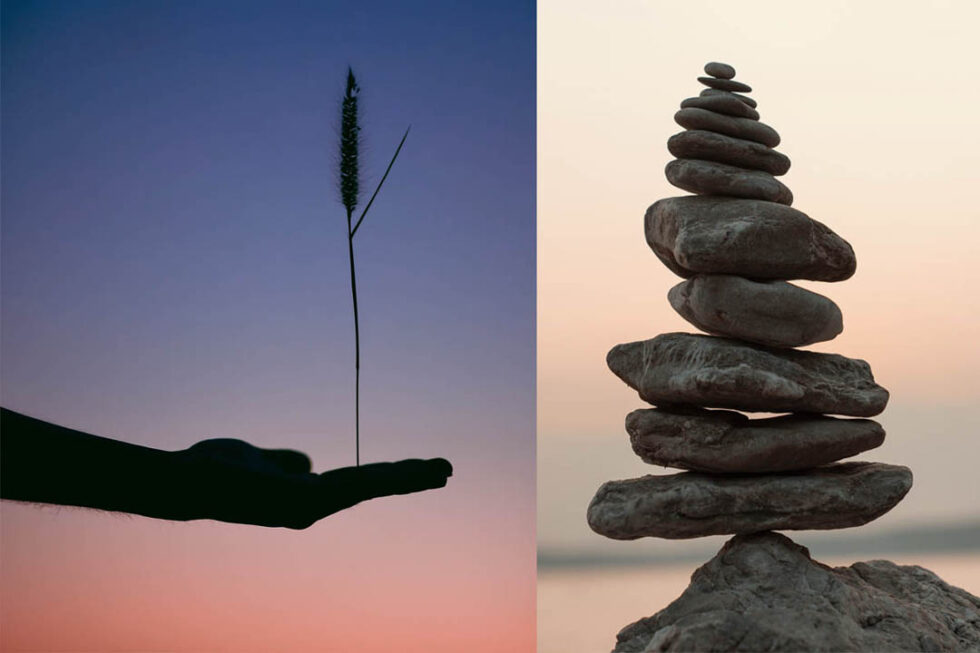 BEWUST LEVEN IN EEN WERELD VOL PRIKKELS - SenseStory